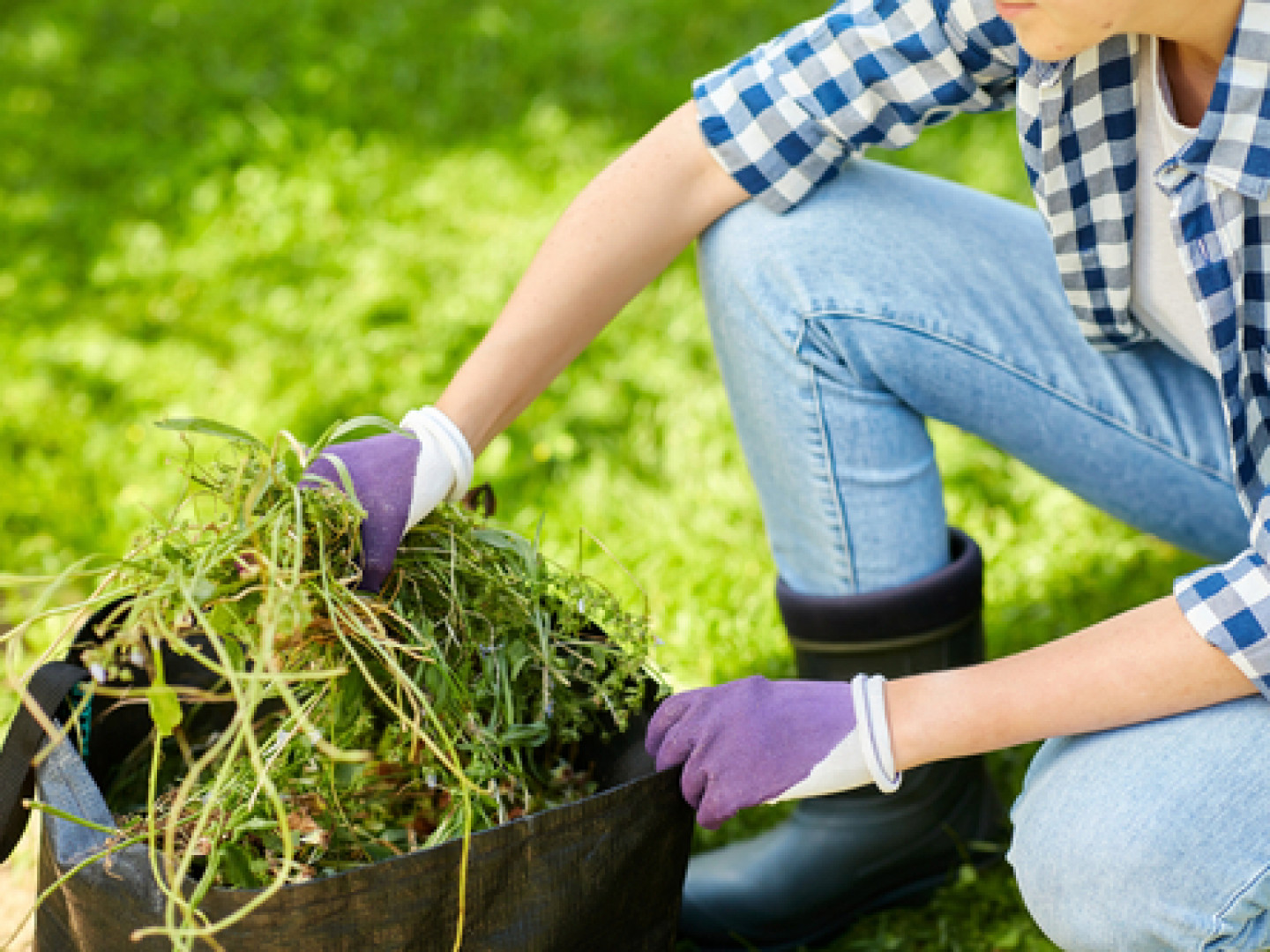 Weed Control | Paris, Bonham, Greenville, Clarksville & Reno, TX | A-1 ...